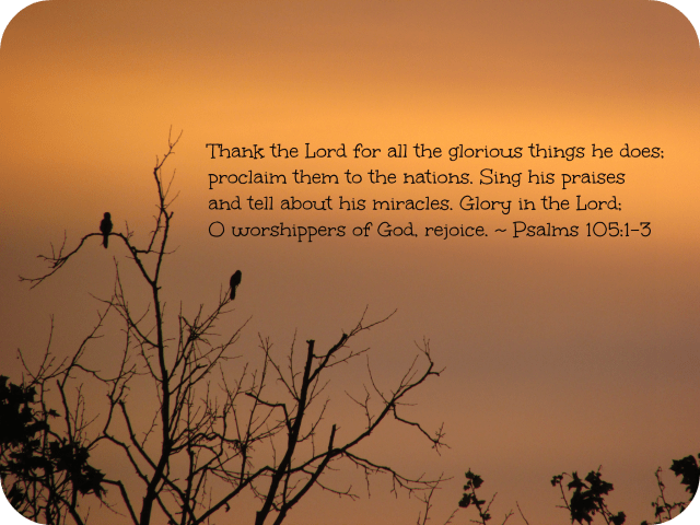 Psalms and Proverbs – MINDING MY P'S WITH Q