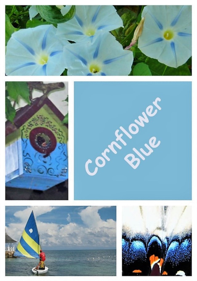 Photographs – Color Your World-120 Days of Crayola/Cornflower Blue ...