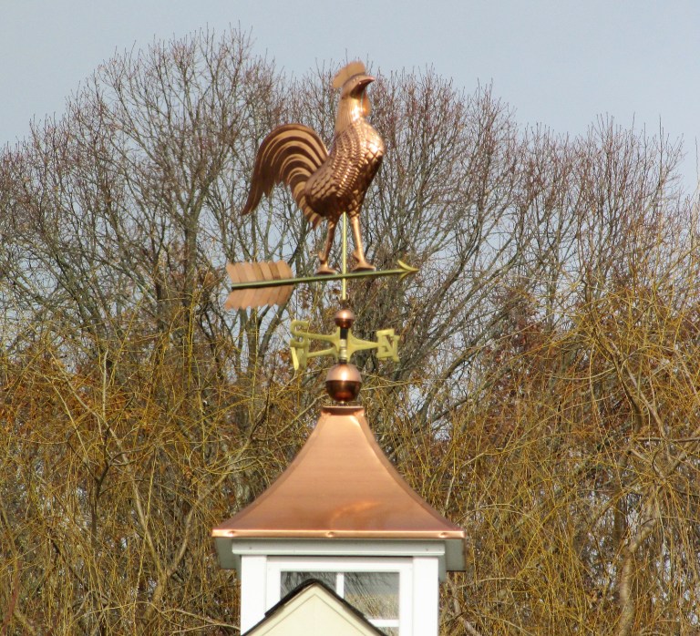 Photo Challenge & Pheathers – Weather Vane Wednesday/The Hunt – MINDING ...